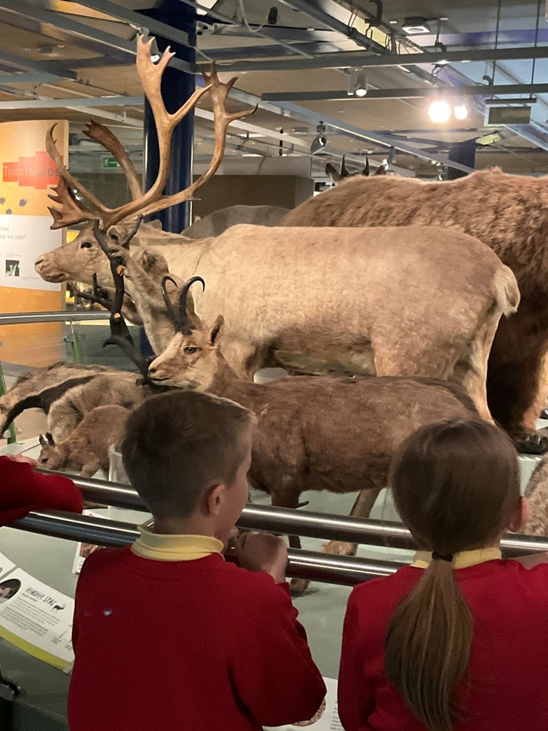 Roberts Primary School - Year 5 Thinktank Visit